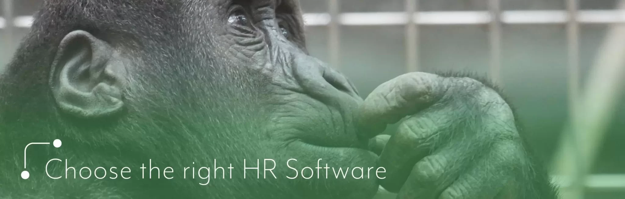 How to Choose The Right Human Resource Software - DSD Business Systems