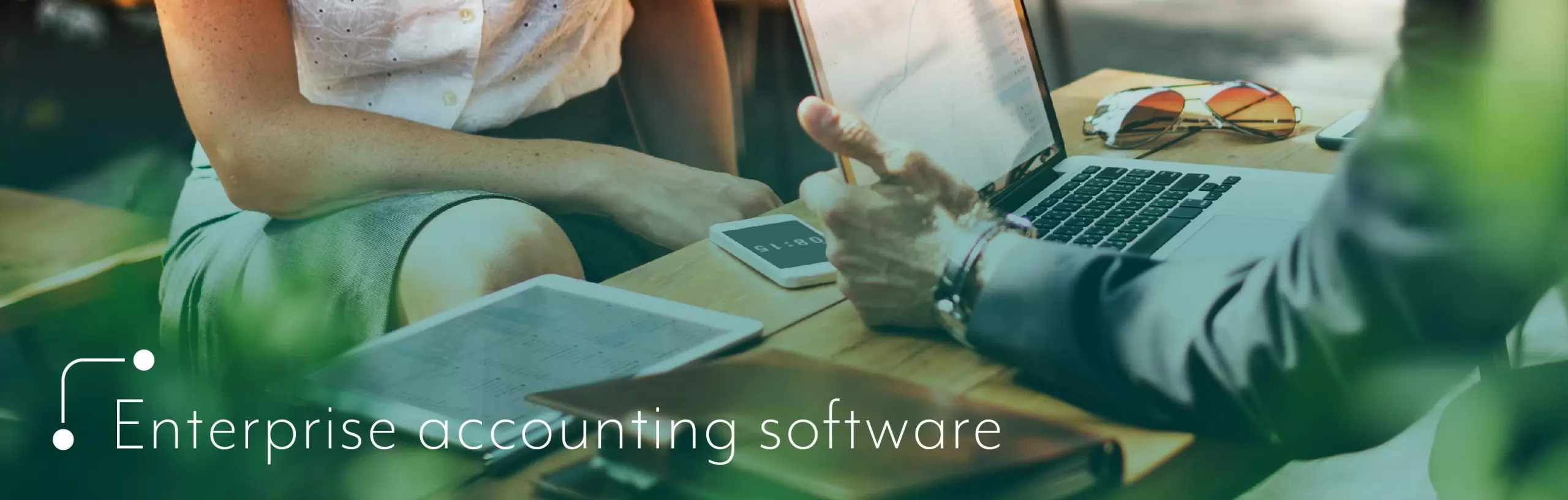 What Are Large Companies Looking For In Accounting Software?
