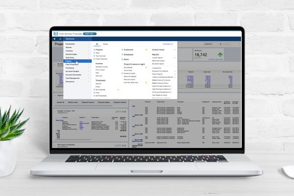 Sage Intelligent Time: AI-Powered Timesheets for Sage Intacct - DSD ...