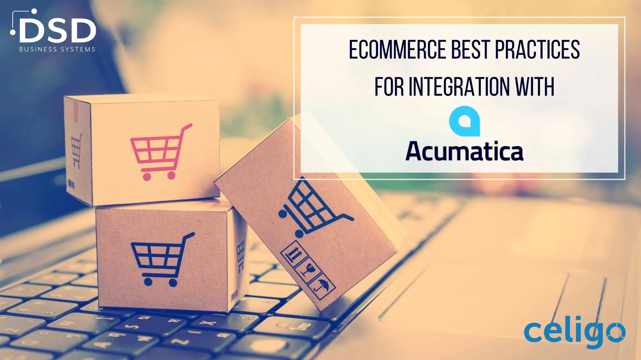 Ecommerce Best Practices for Integration with Acumatica - DSD Business Systems